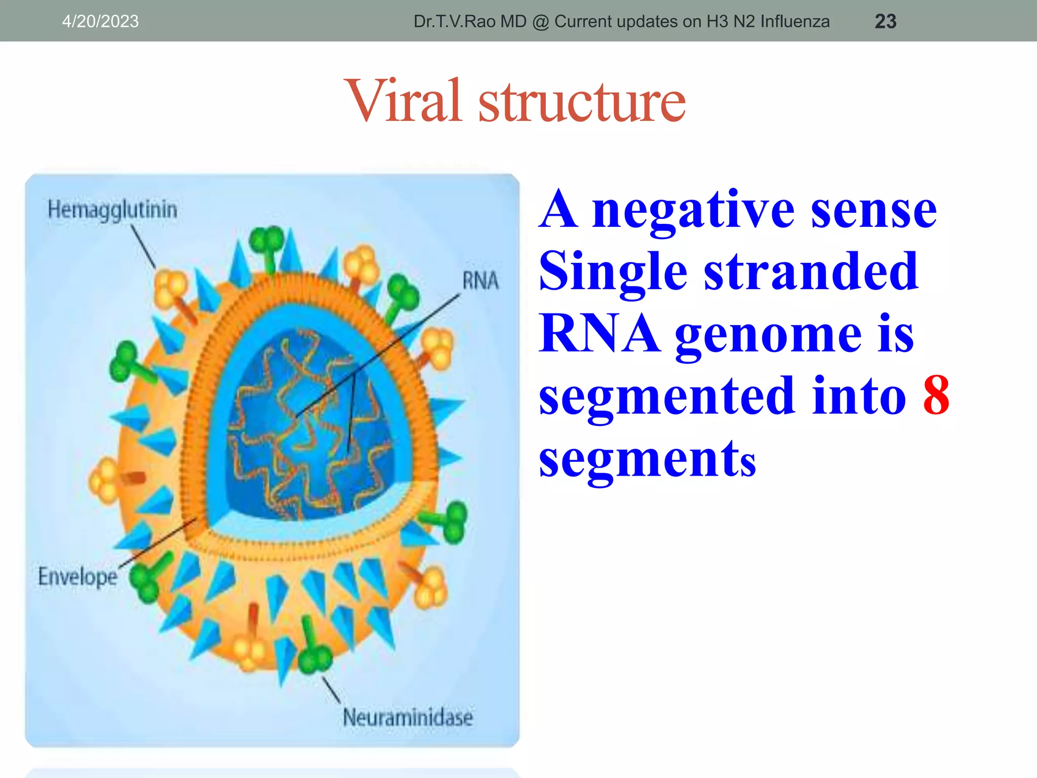 Influenza teaching.pptx