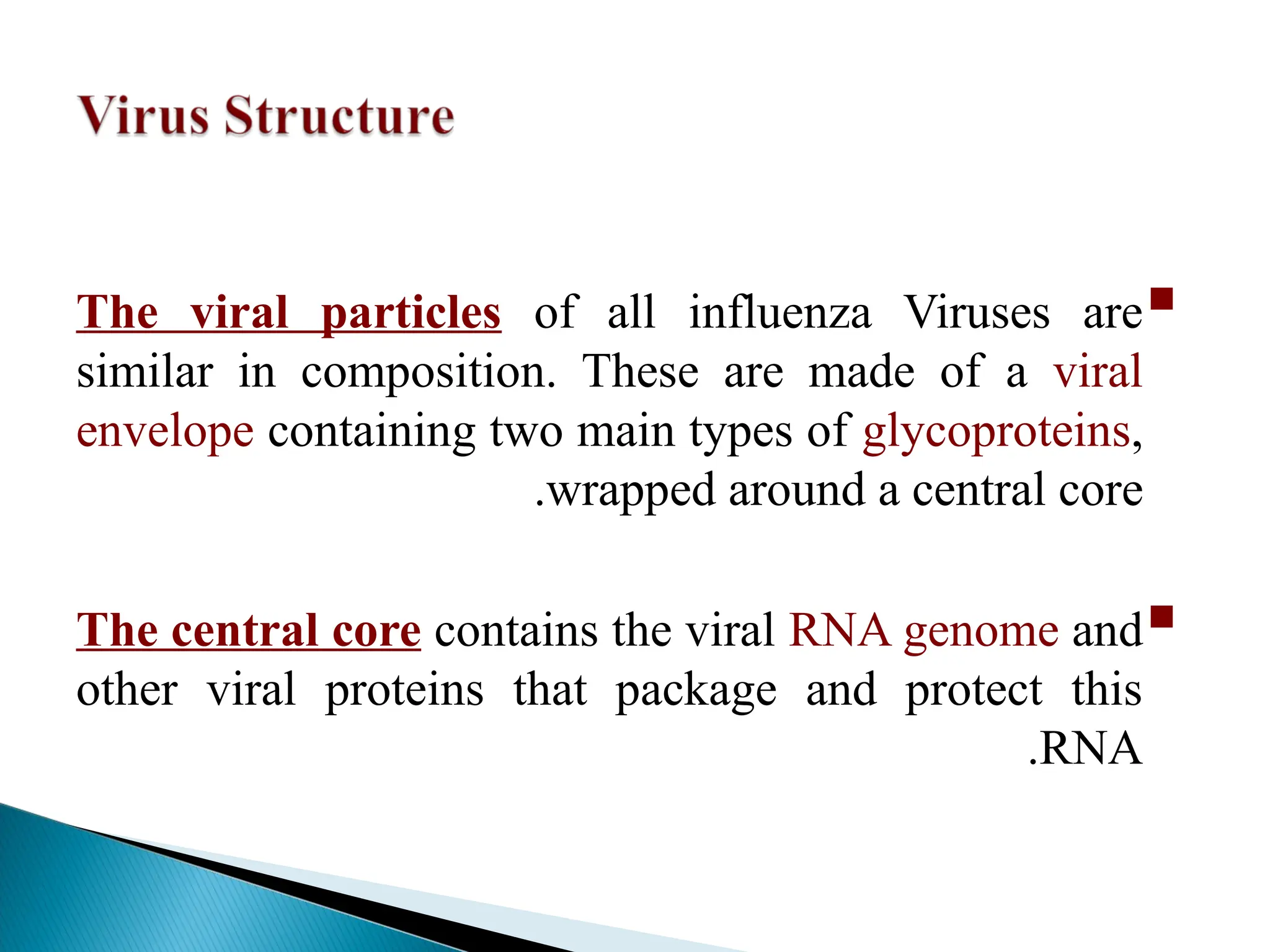 Influenza (The flu).ppt................... | PPT
