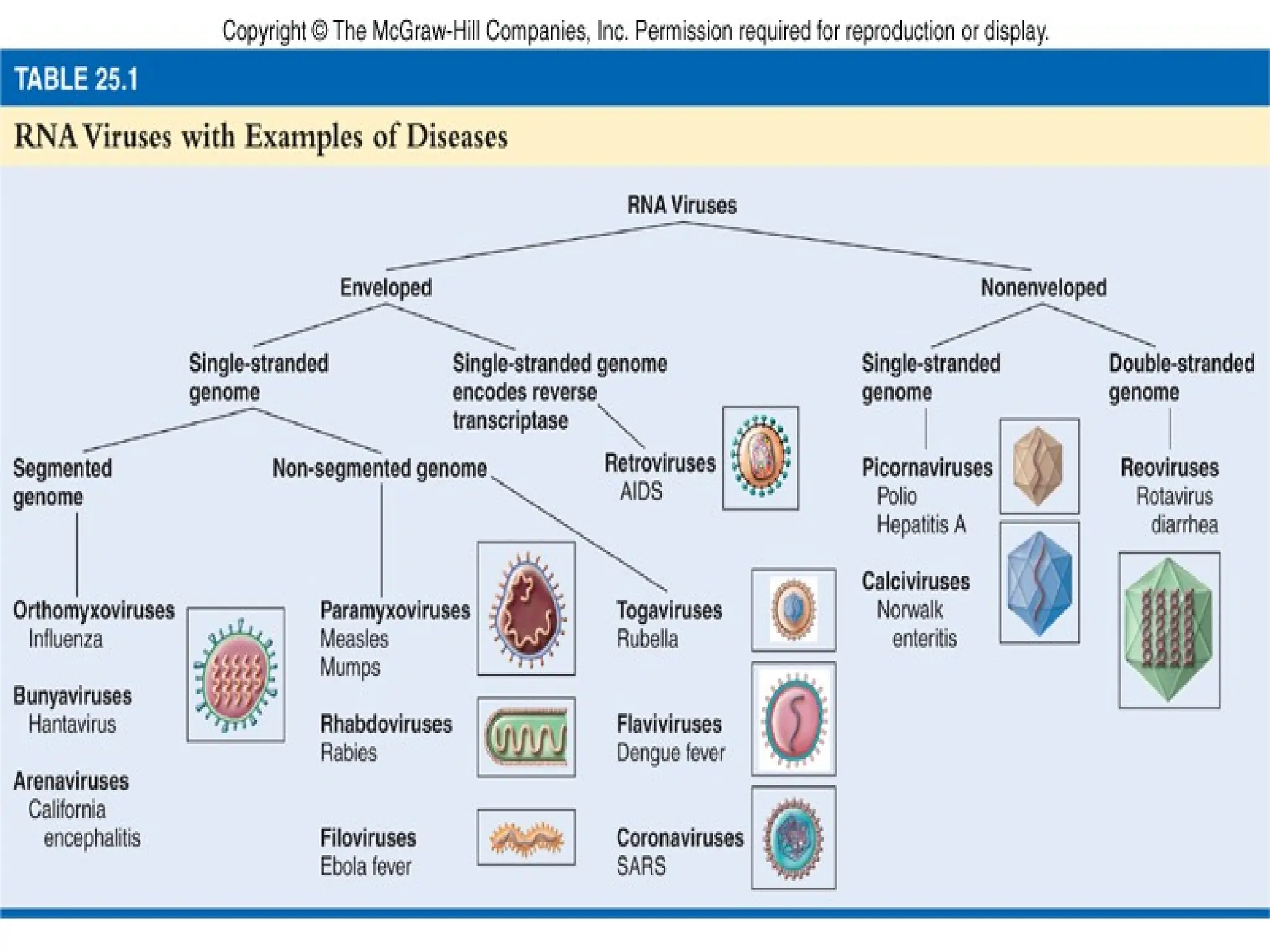Influenza (The flu).ppt................... | PPT