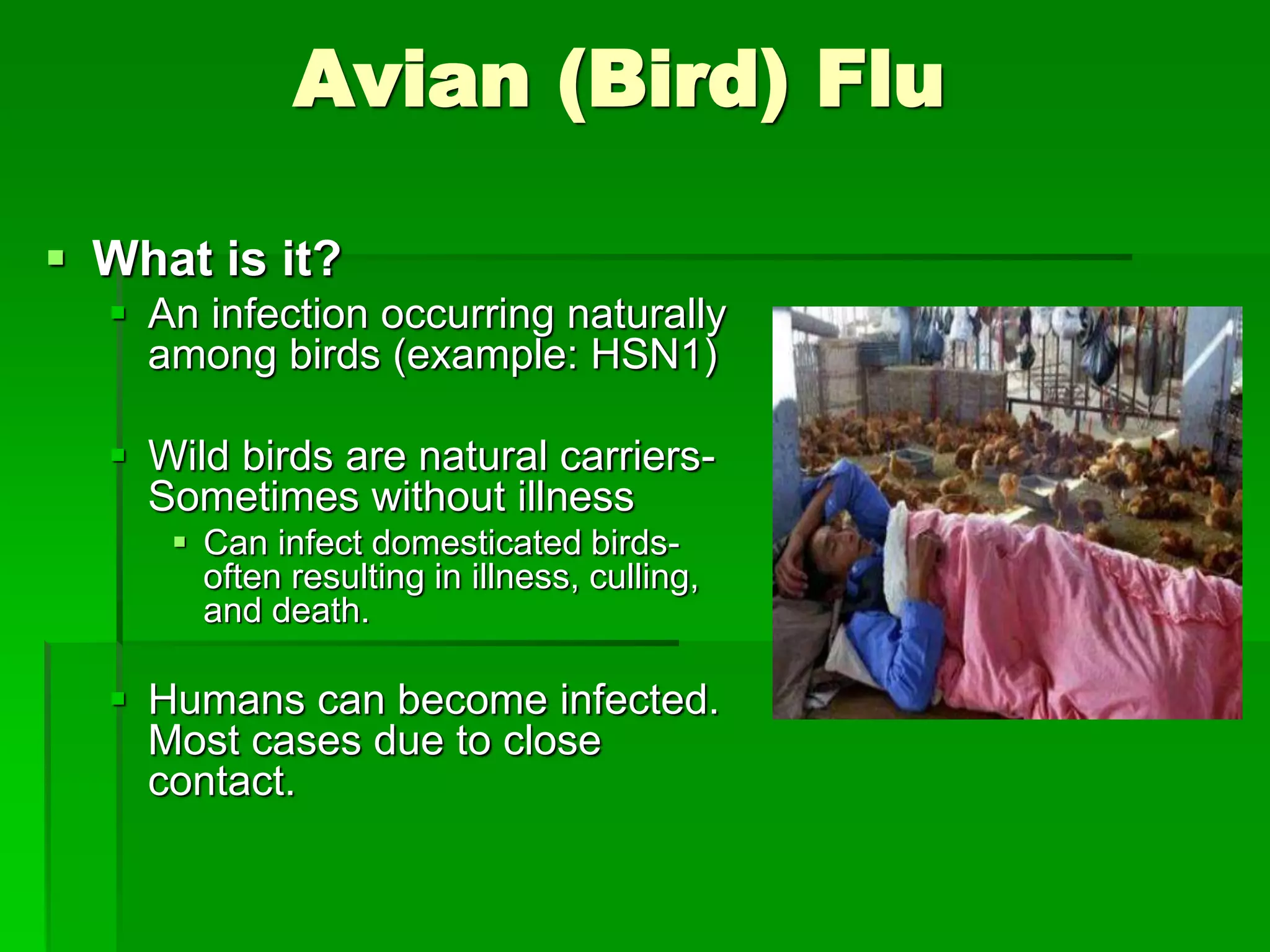 influenza toolkit.ppt