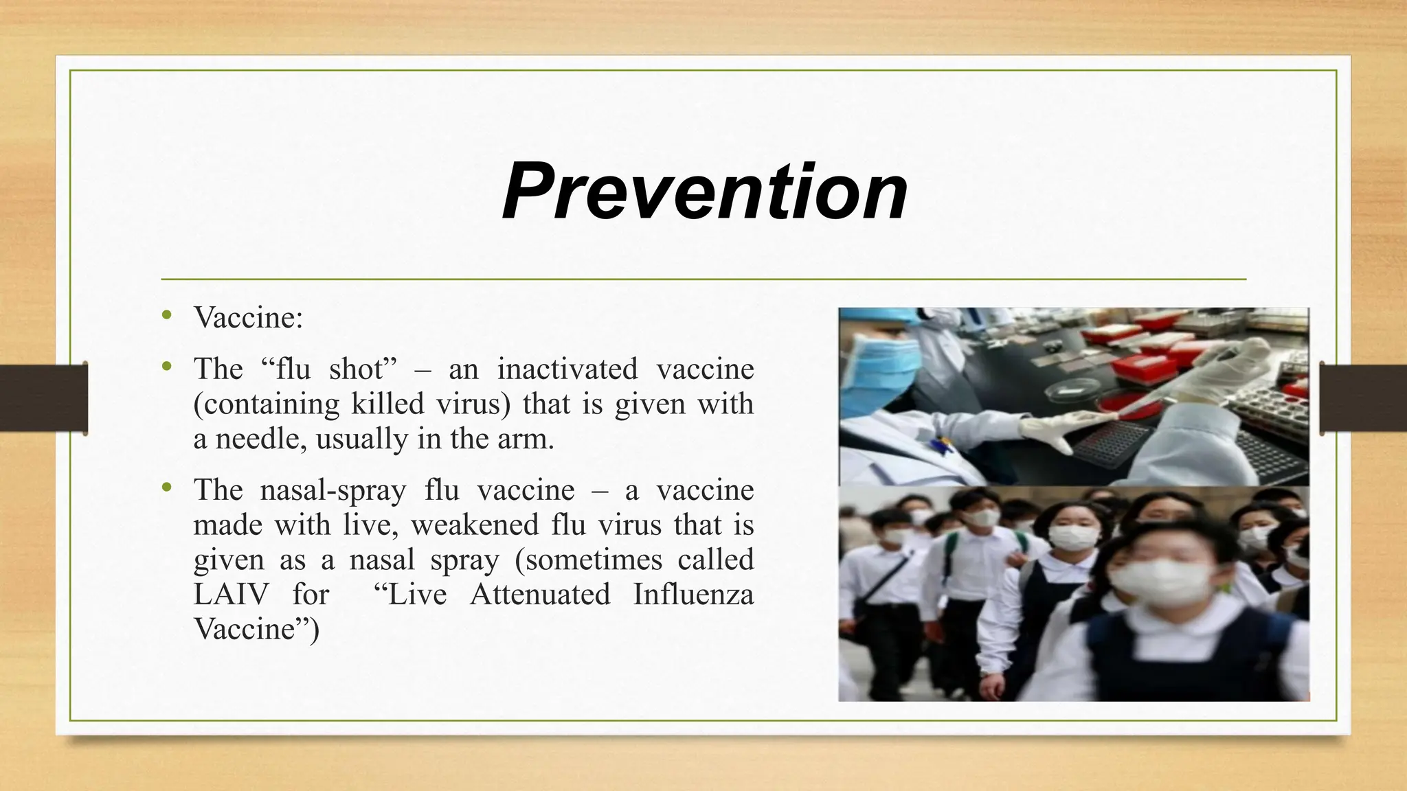 INFLUENZA VIRUS LESSON YES THANK YOU AMAZING | PDF