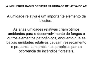 INFLUÊNCIA DA FLORESTA NO MEIO AMBIENTE.ppt
