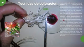INFO- BIOLOGIA.pdf