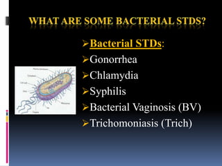 April 2013 Info. STD Overview | PPTX