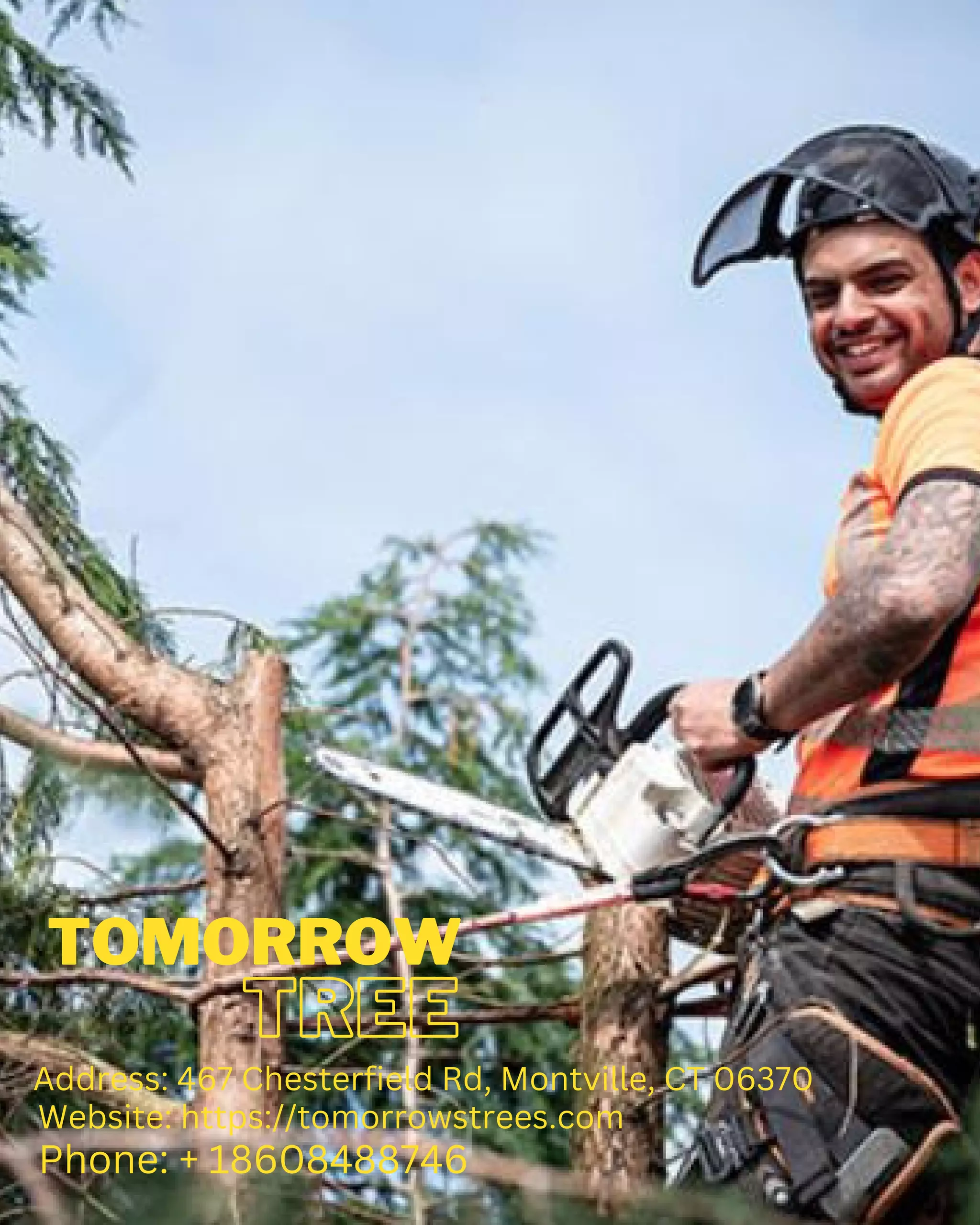 North Stonington CT Tree Services | PDF