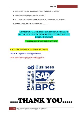 Learn SAP BPC by Yourself | PDF