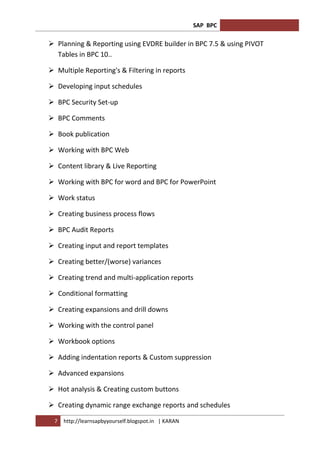 Learn SAP BPC by Yourself | PDF
