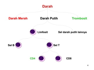 INFO DASAR HIV AIDS di tempat kerja oleh Dr Sadi | PPT