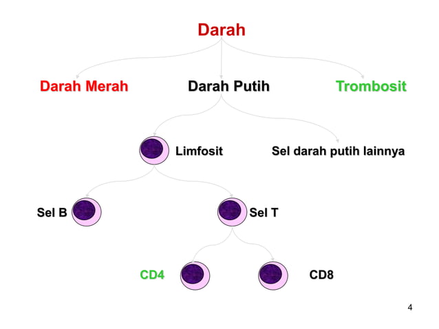 INFO DASAR HIV AIDS di tempat kerja oleh Dr Sadi | PPT