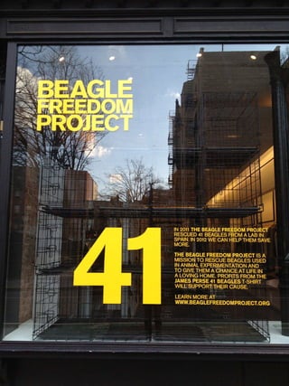 "Good" versus "Bad" Information Design | PDF