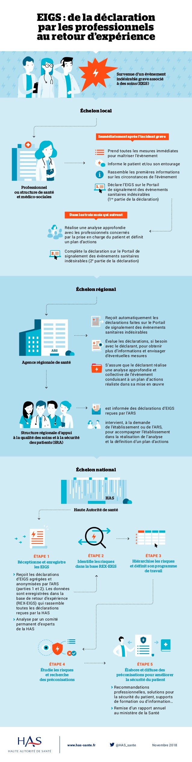EIGS : de la déclaration par les professionnels au retour d'expérience