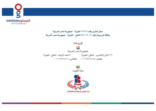 InfoGlobe Company Profile | PDF