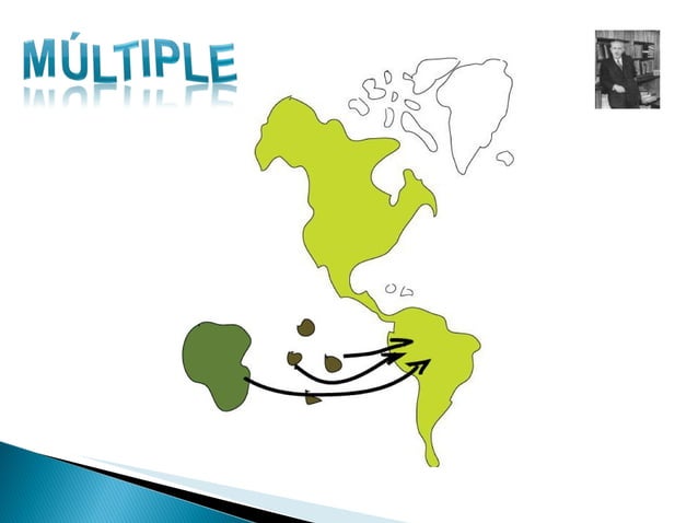 Infografía de las Teorías Del Poblamiento De América | PPT