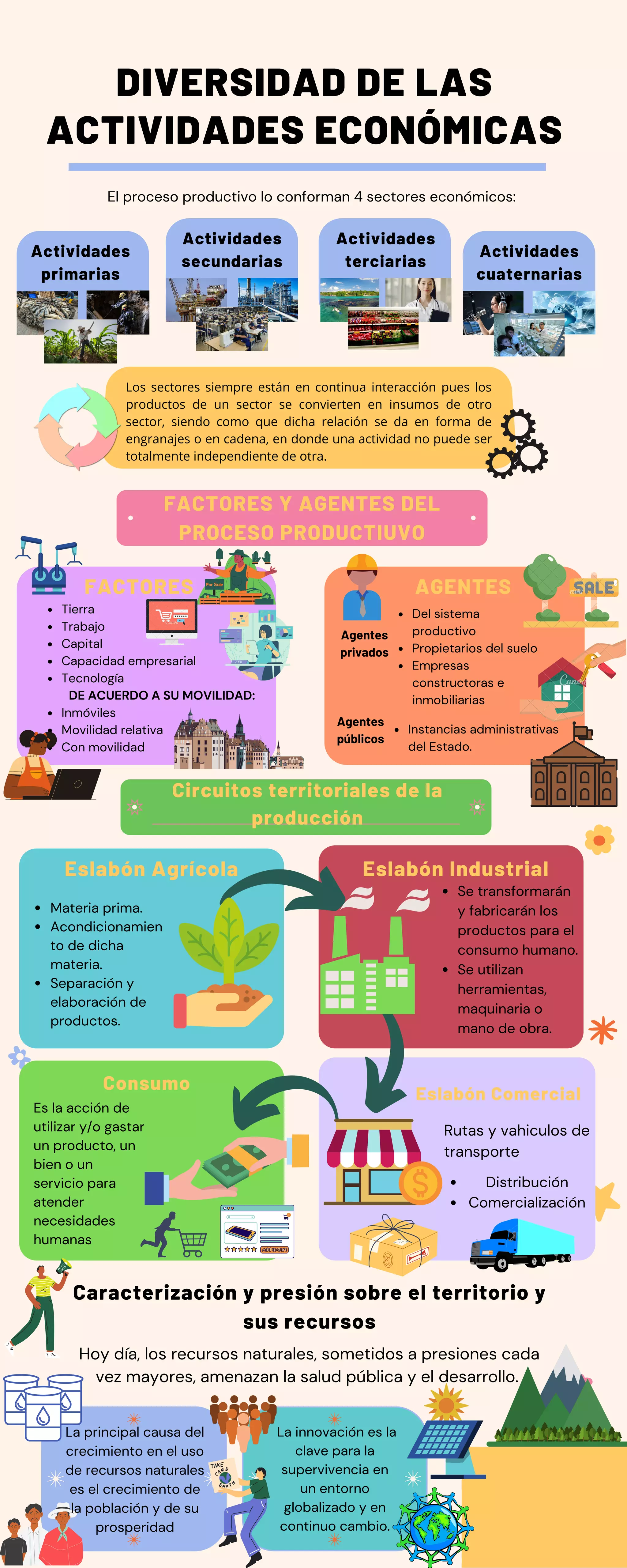 Infografía Diversidad de las actividades económicas | PDF