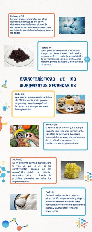 Propiedades Químicas, bioelementos primarios y secundarios | PDF