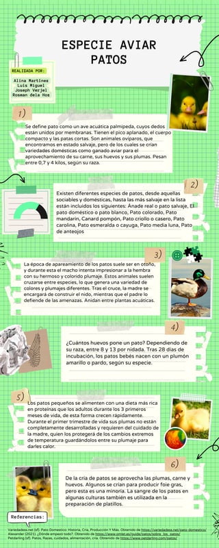 Infografía Patos.pdf