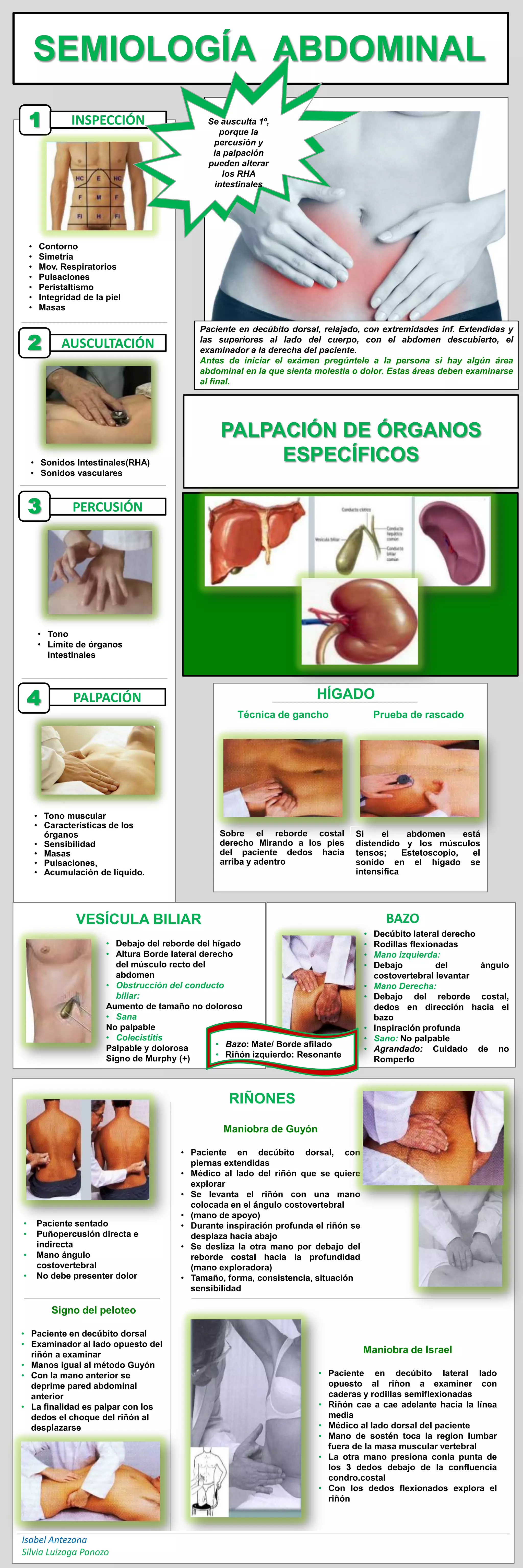 Infografía Semiología Exámen Físico De Abdomen Pptx