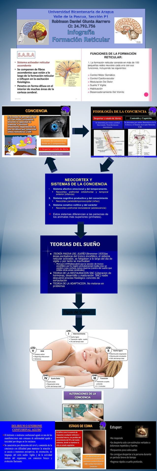 Infografia.pptx formaciòn reticular | PDF Infografia.pptx formaciòn reticular | PDF