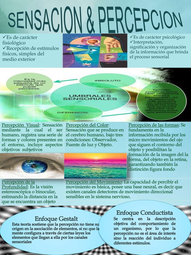 Sensación y Percepcion | PPTX