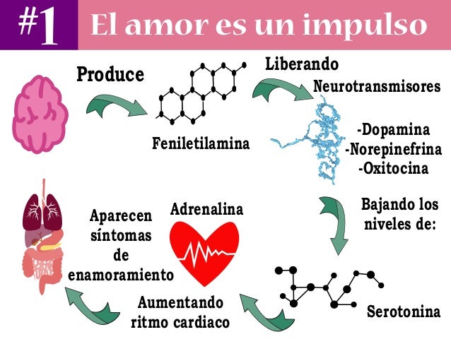 6 verdades sobre el amor