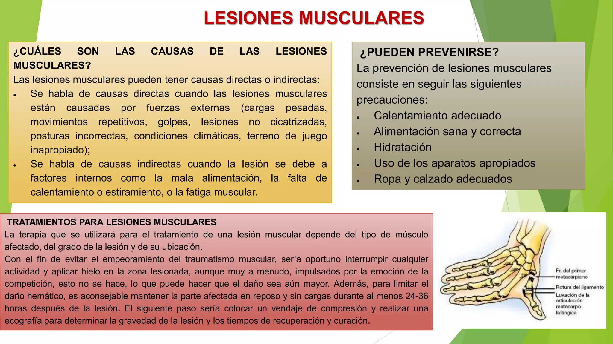 Infografia Las Lesiones Pptx
