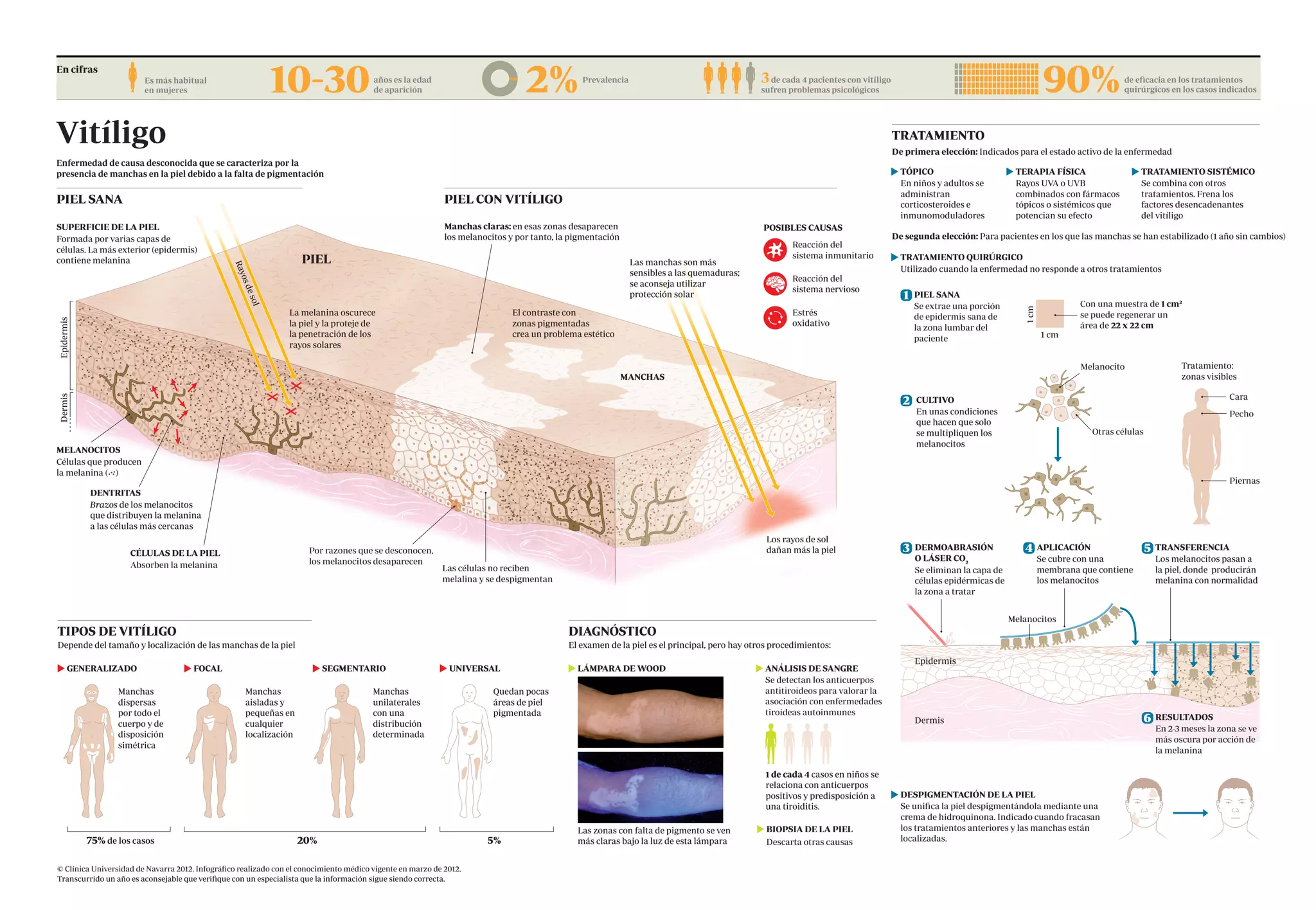 infografia-vitiligo-2012.pdf