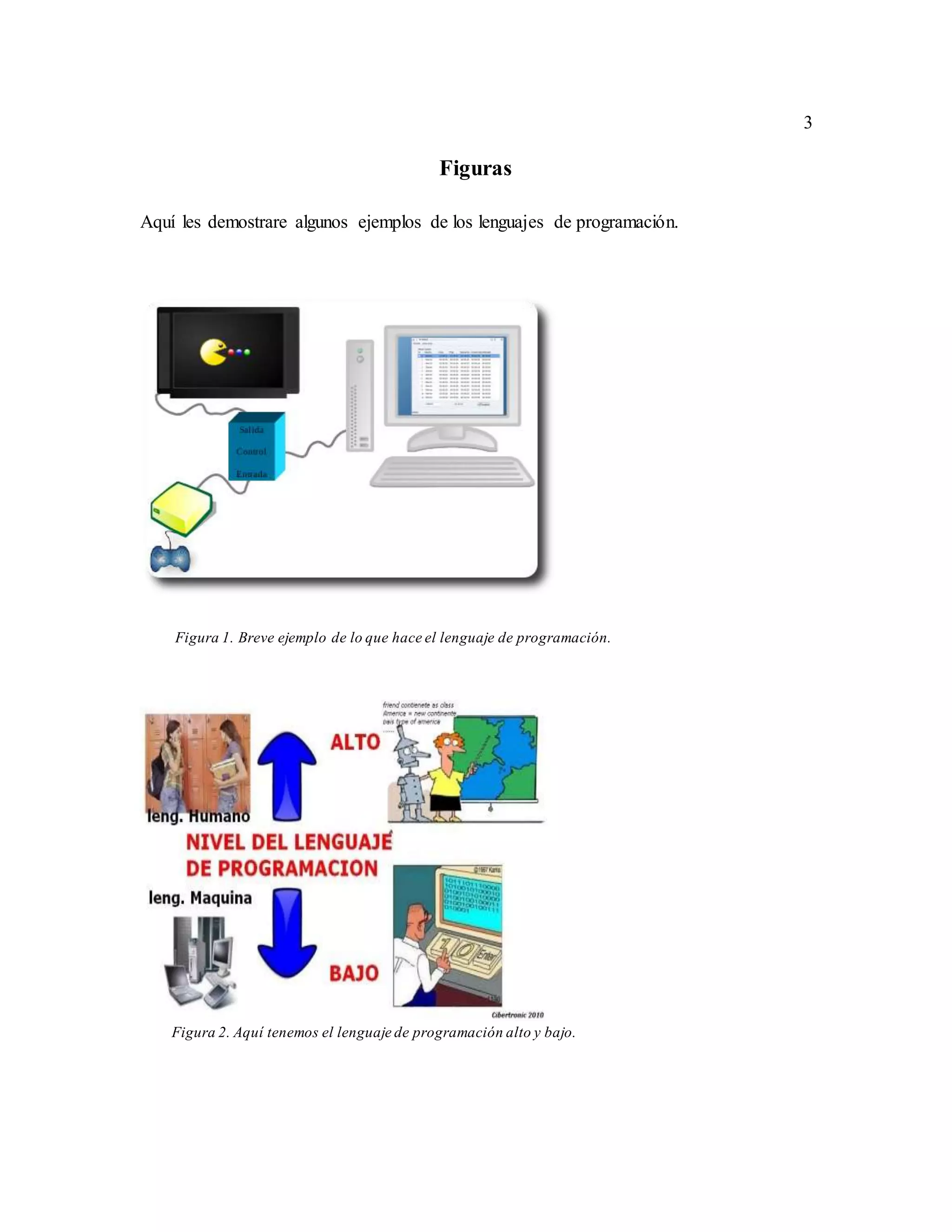 Infografia sobre los lenguajes de programacion. | DOCX