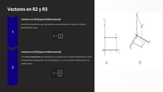 INFOGRAFIA ANALISIS VECTORIAL, CARACTERISTICAS DE UN VECTOR | PDF