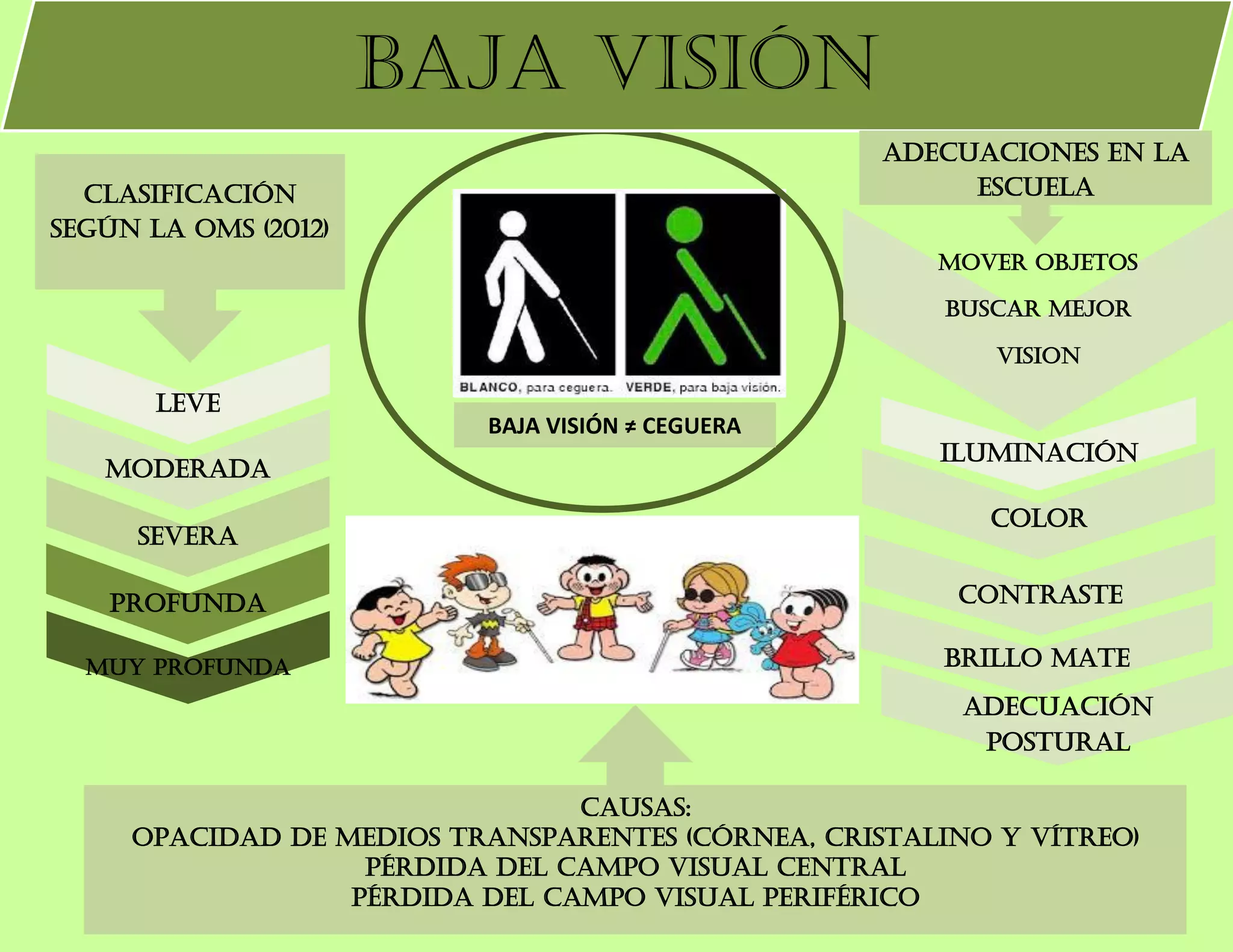 Infografia baja vision rodriguezv | PDF