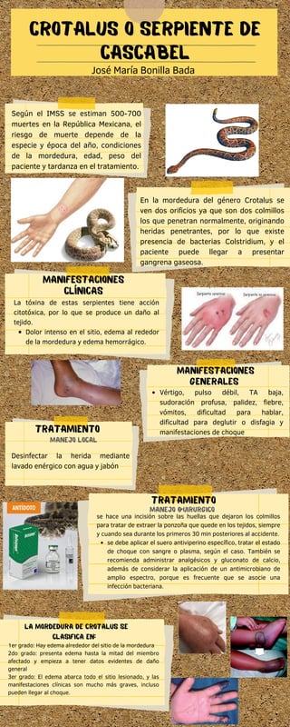 INFOGRAFIA crotalus o serpiente de cascabel JMBB.pdf