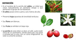 INFOGRAFIA DEL CAFE.pptx