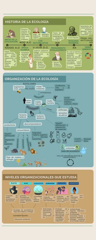 Infografía ecología aaaaaaaaaaaaaaaaaaa | PDF