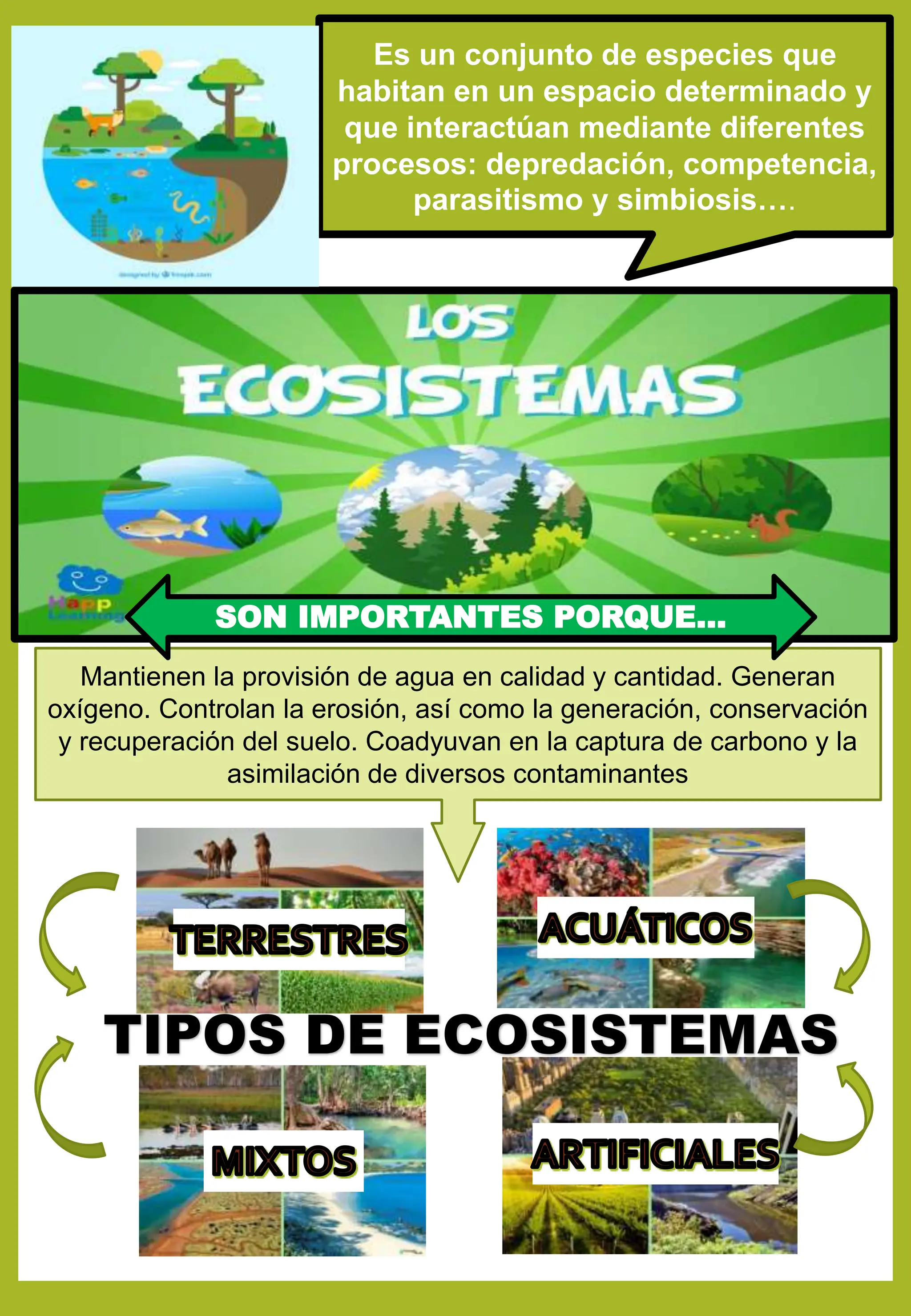 infografia de los ecosistemas ecosistemas | PPTX