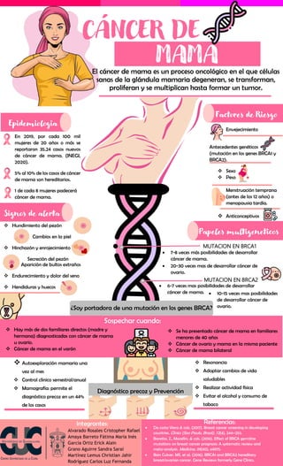 Cancer De Mama Infografia