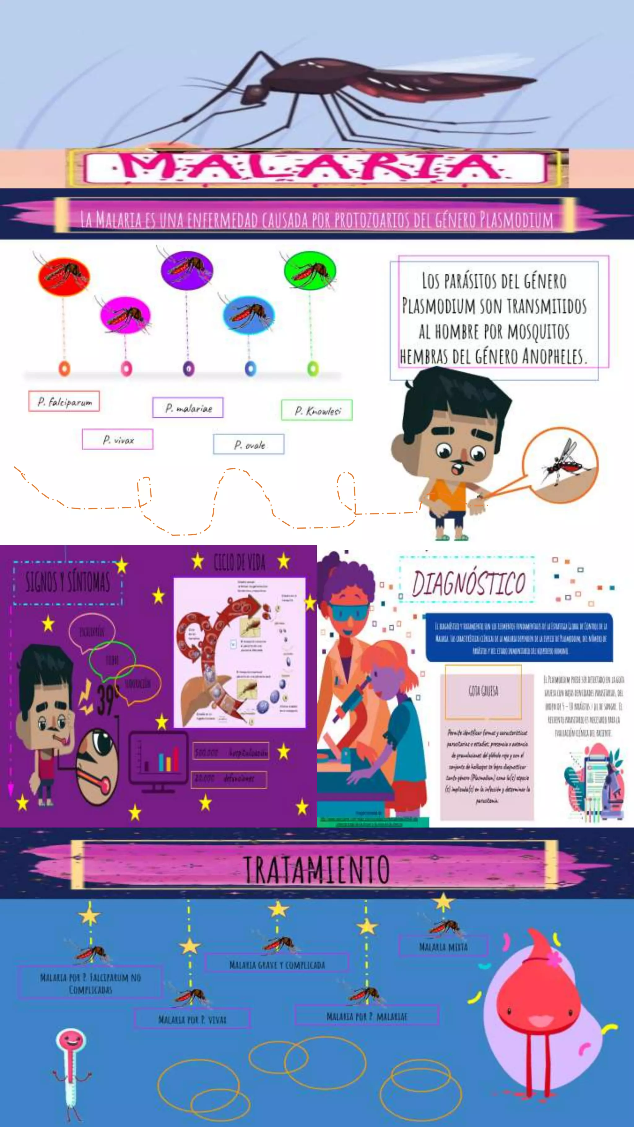 Infografia malaria | PDF