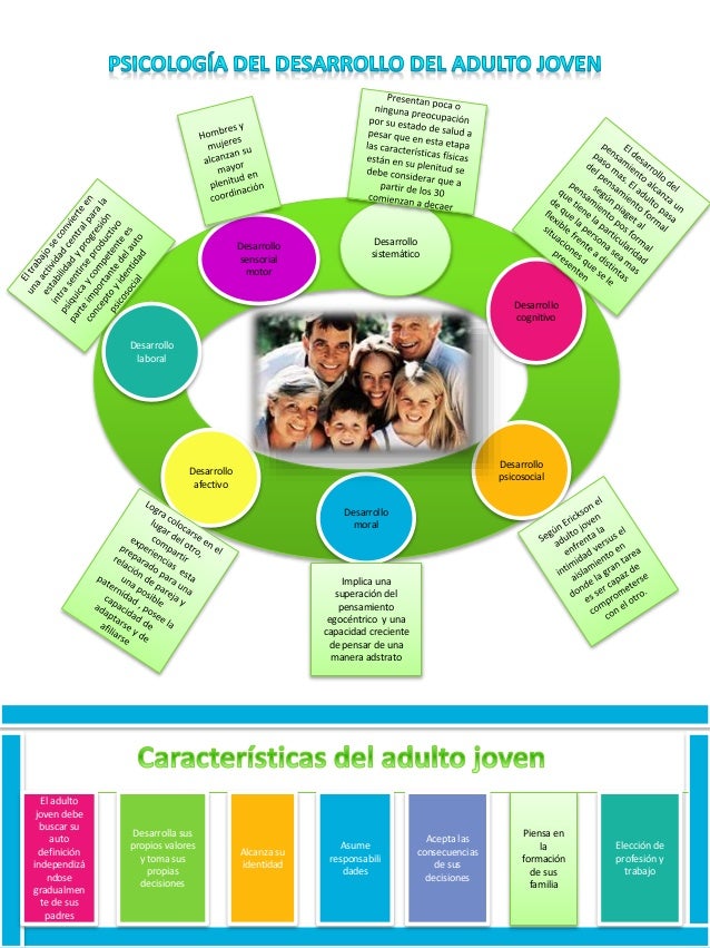Infografia psicologia del desarrollo adulto joven