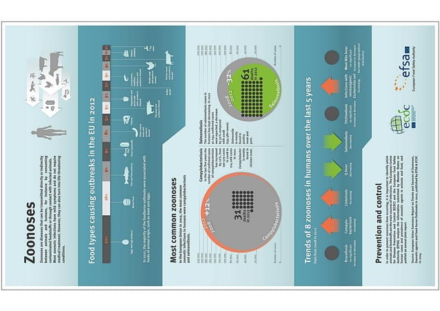 Infografia zoonosis efsa 2012 | PDF