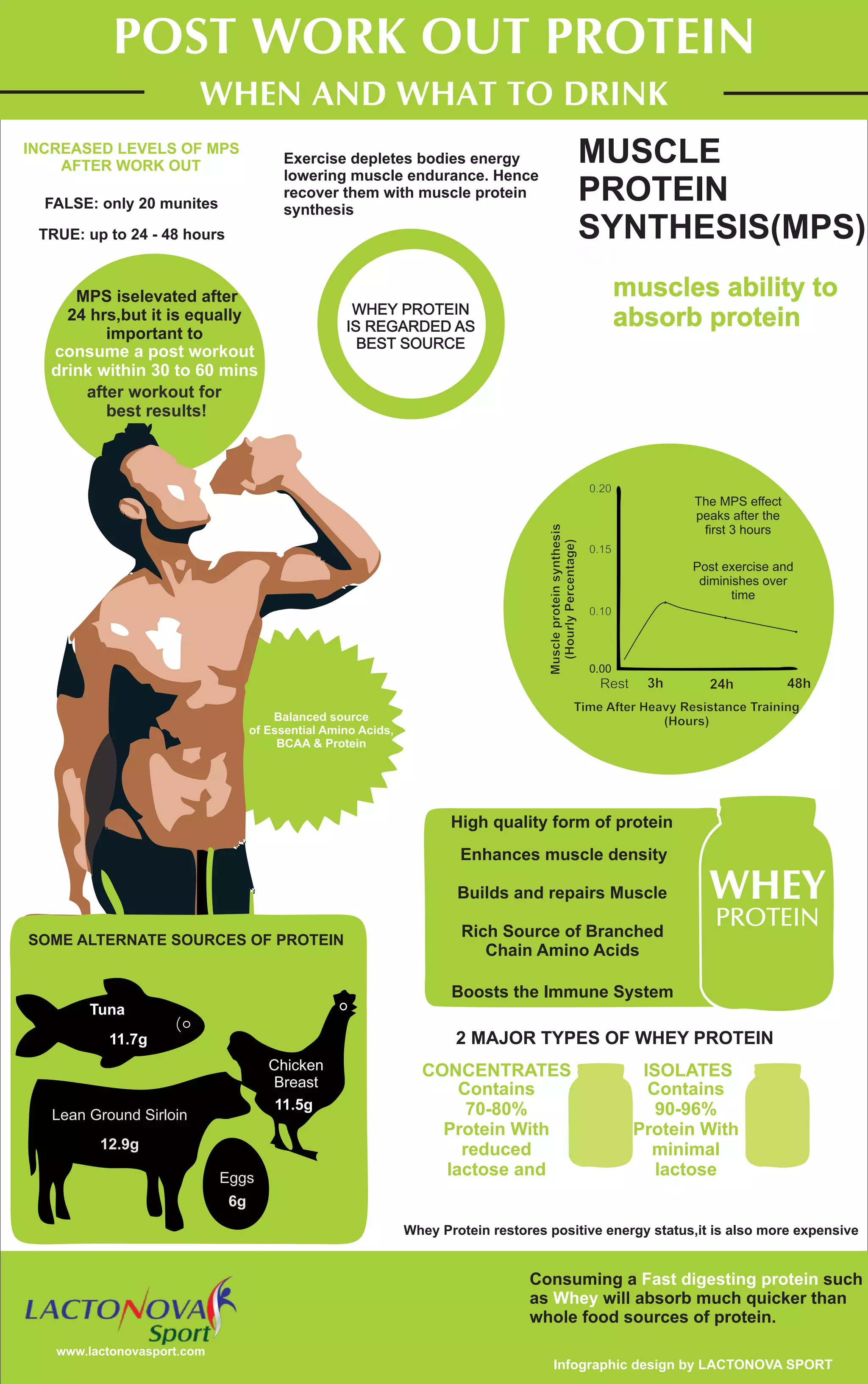 Infografic of whey protein | PDF