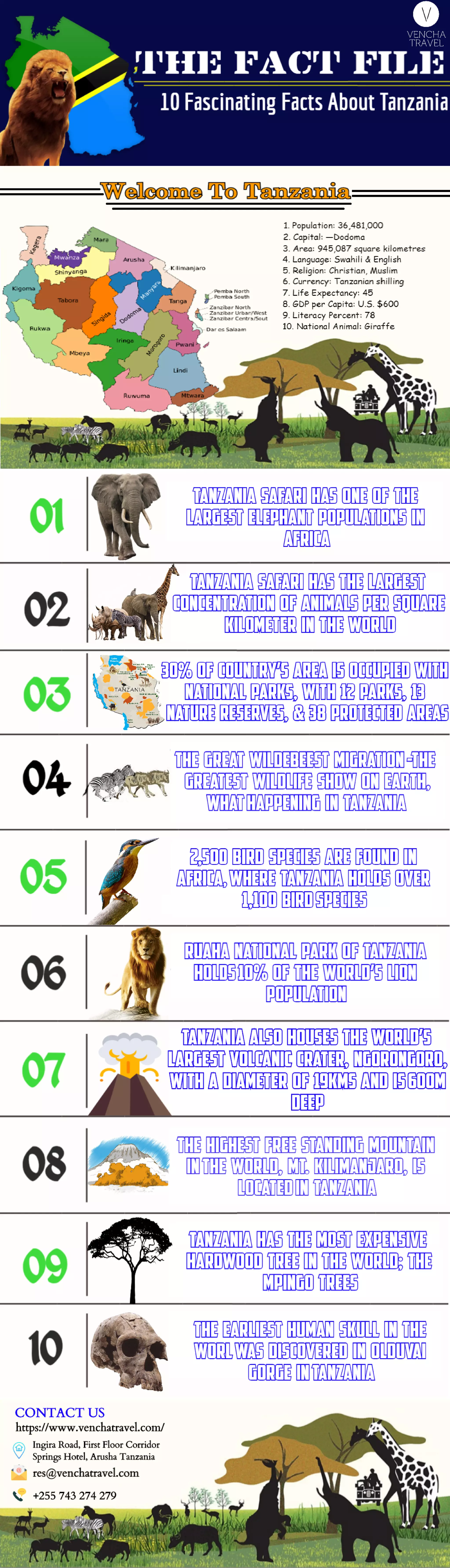 Infographic 10 fascinating facts of tanzania | PDF