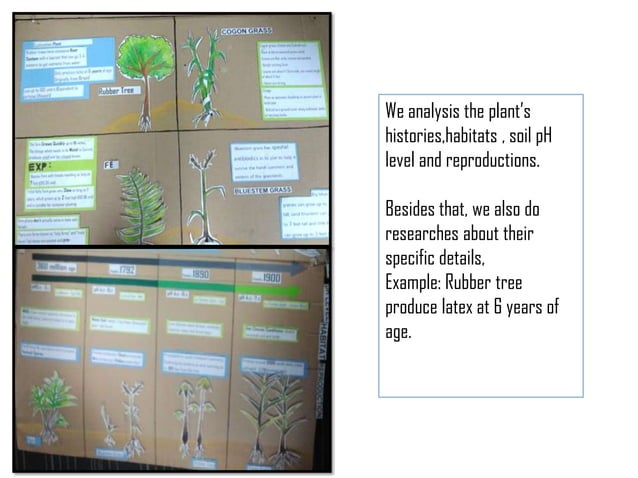 Infographic | PPTX | Biological Sciences | Science