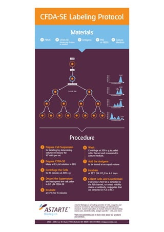 CFDA-SE Labeling Protocol | PPT