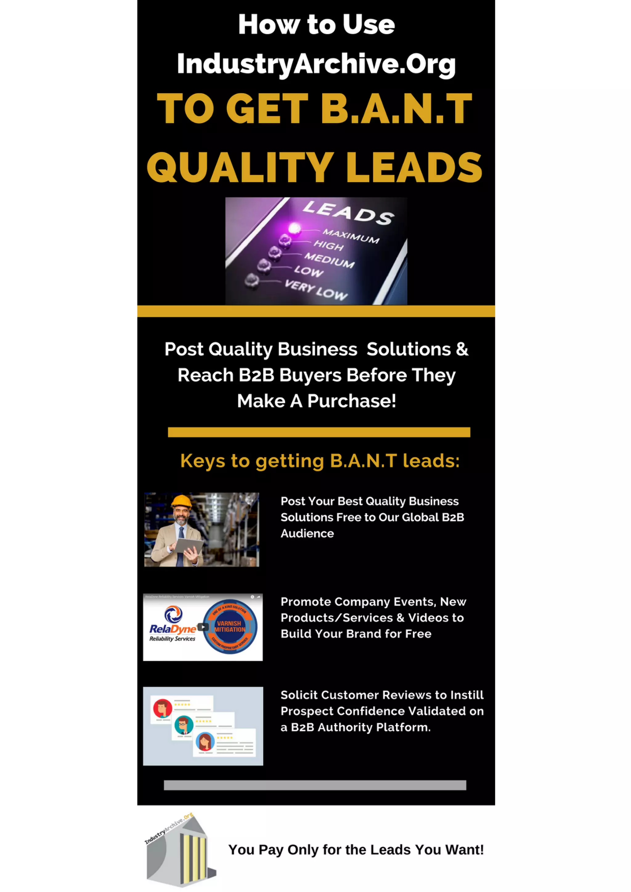 How to Get B.A.N.T. Quality B2B Sales Leads-Infographic | PDF