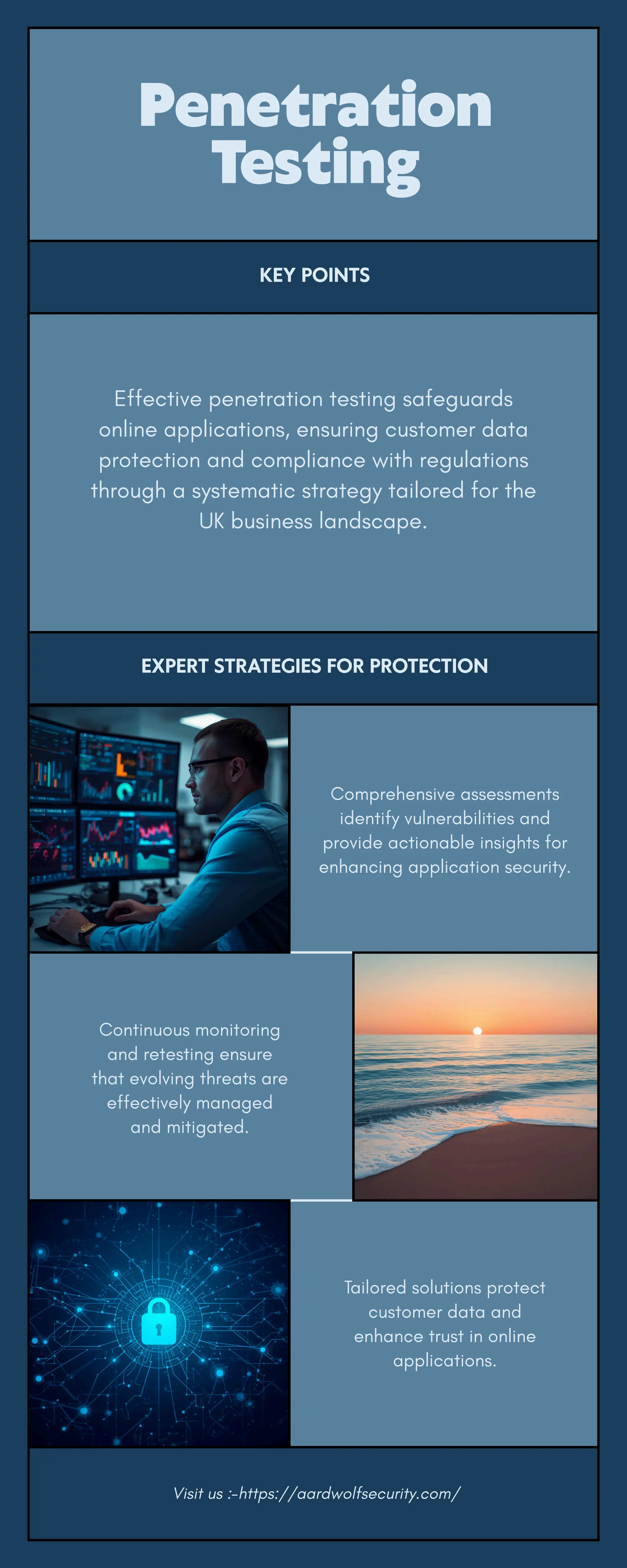 Infographic - Penetration Testing.pdf Web Application Penetration ...