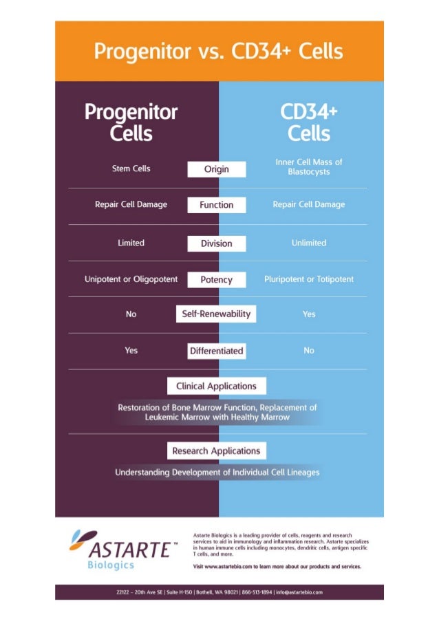Progenitor vs.CD34+ Cells Infographic Progenitor vs.CD34+ Cells Infographic