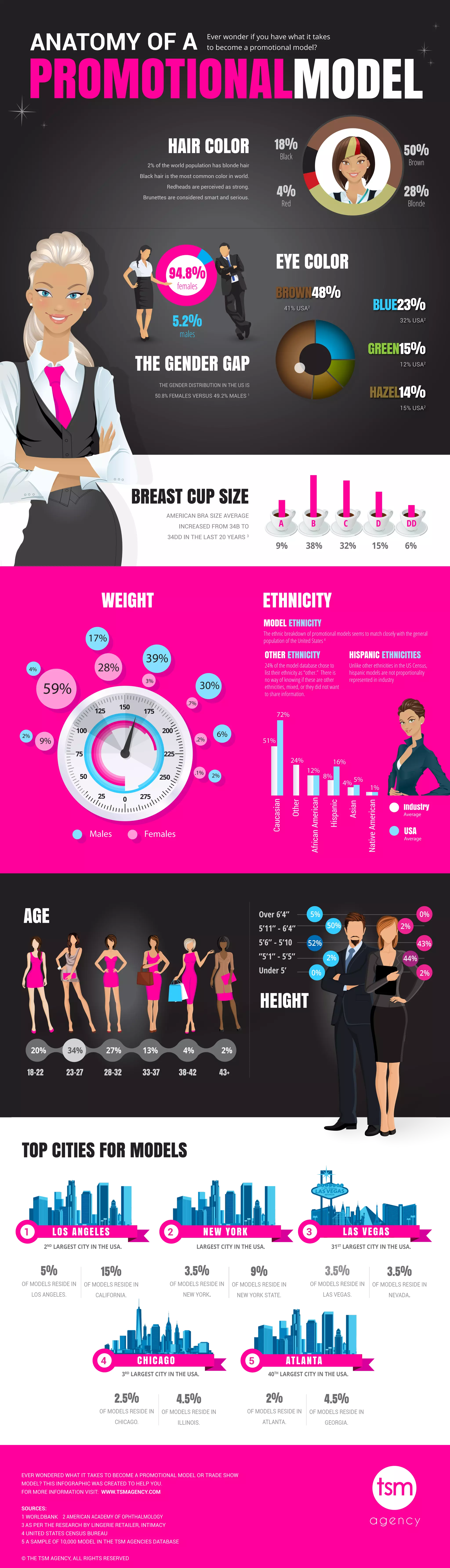 Anatomy of a Promotional Model | PDF