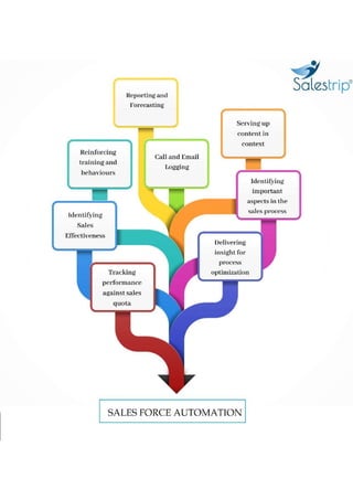 Infographic salesforce can handle | PDF