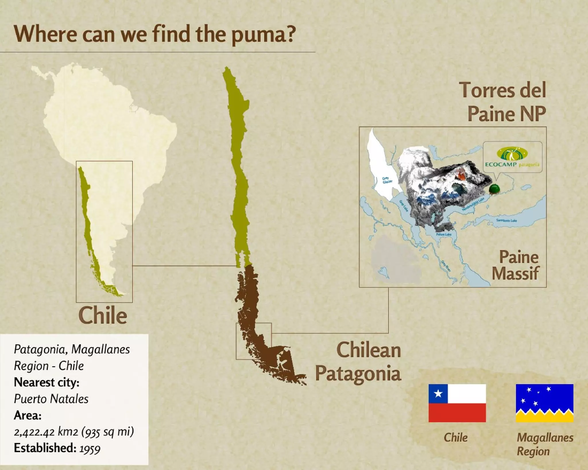 Patagonia Puma Tracking - Wildlife Photo Adventure Travel Guide # ...