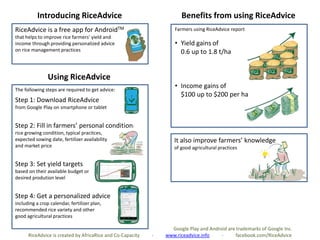 RiceAdvice Infographic | PPT