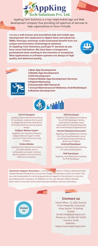 Infographic Appking.pdf