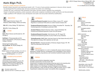 Infographic CV MB | PDF